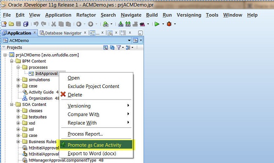 Oracle ACM 11g - Activities